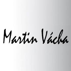 Martin Vácha